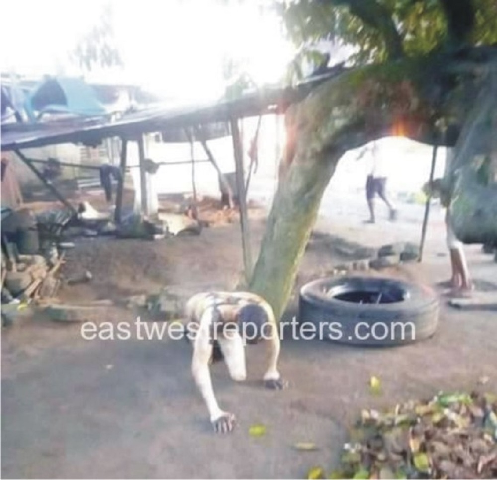 Tragedy As Fire Burns Three Persons To Death In Rivers – National Network